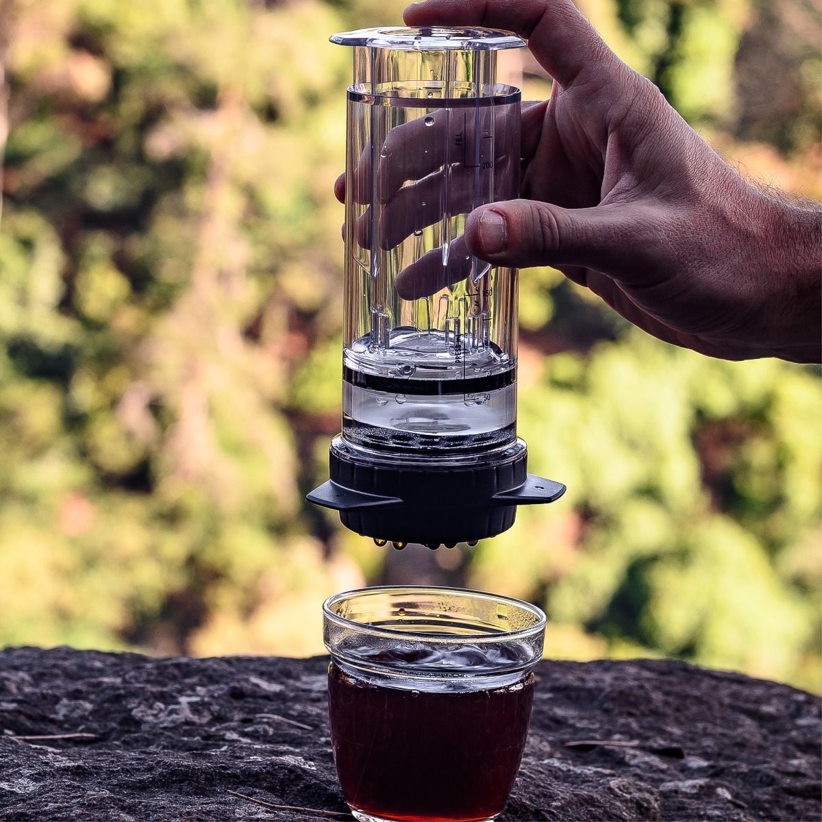 Delter Coffee Press – Beans Knees
